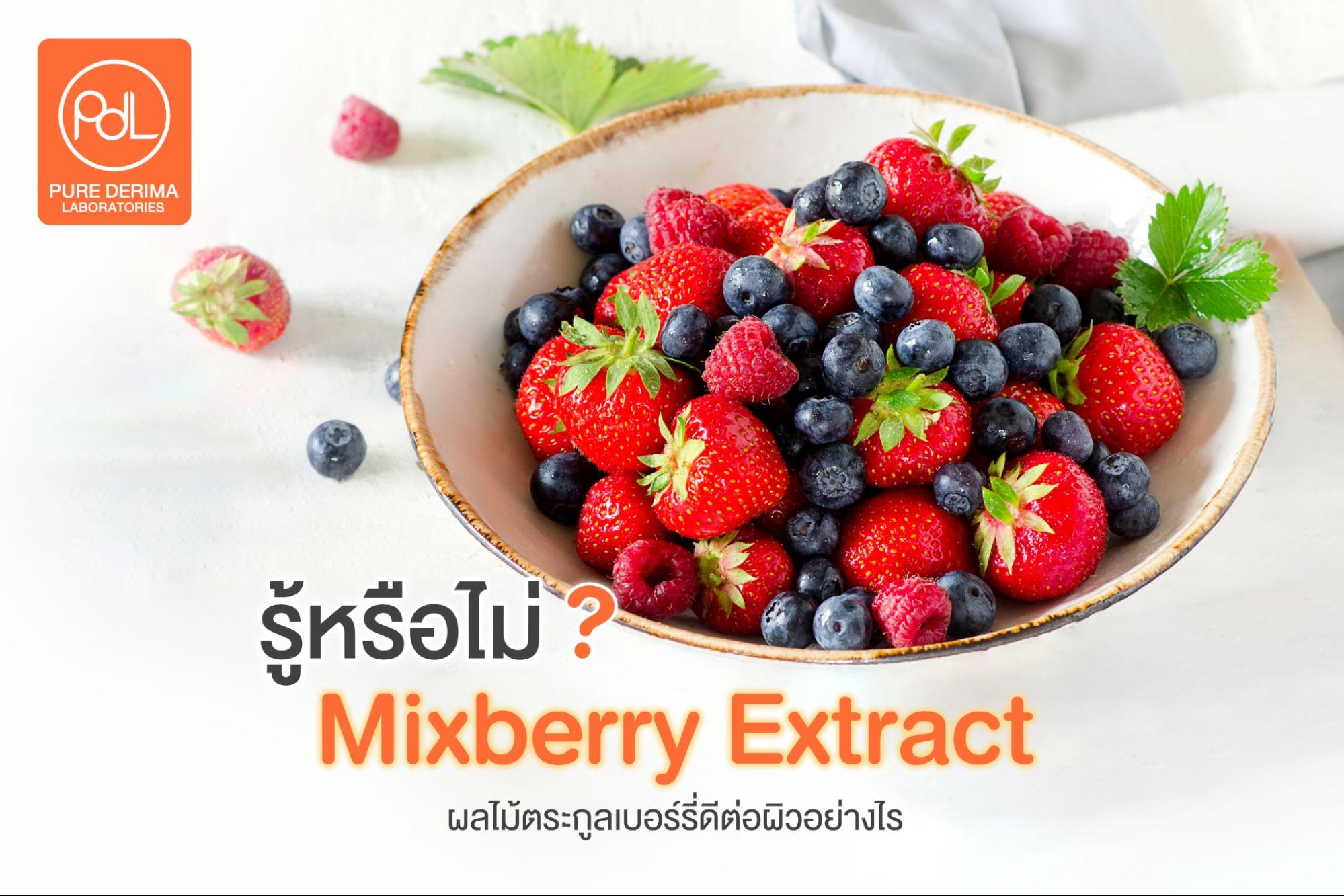 Mixberry Extract สารสกัดมิกซ์เบอร์รี่ ดีต่อผิวอย่างไรบ้าง?