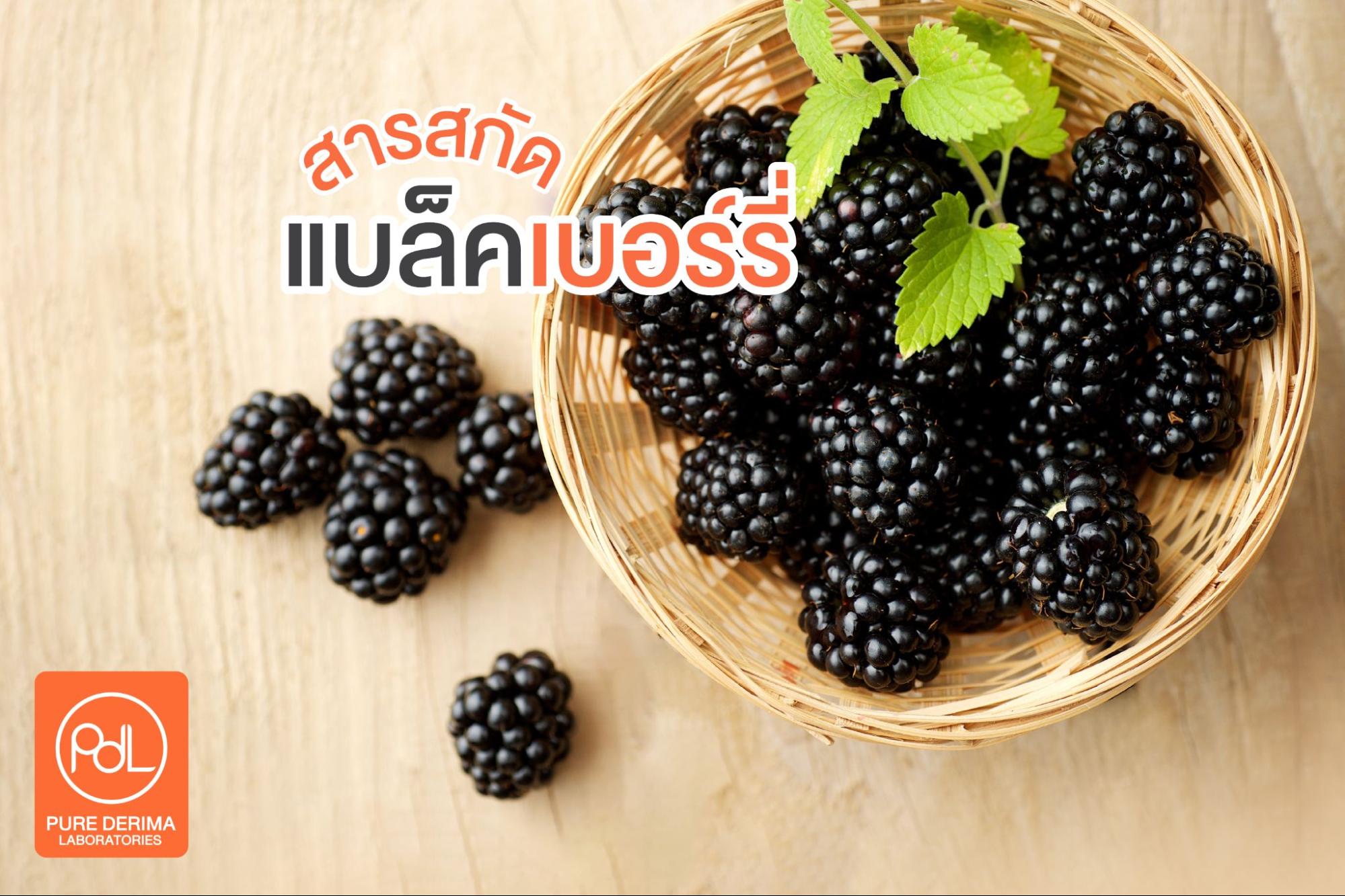 Mixberry Extract สารสกัดมิกซ์เบอร์รี่ ดีต่อผิวอย่างไรบ้าง?