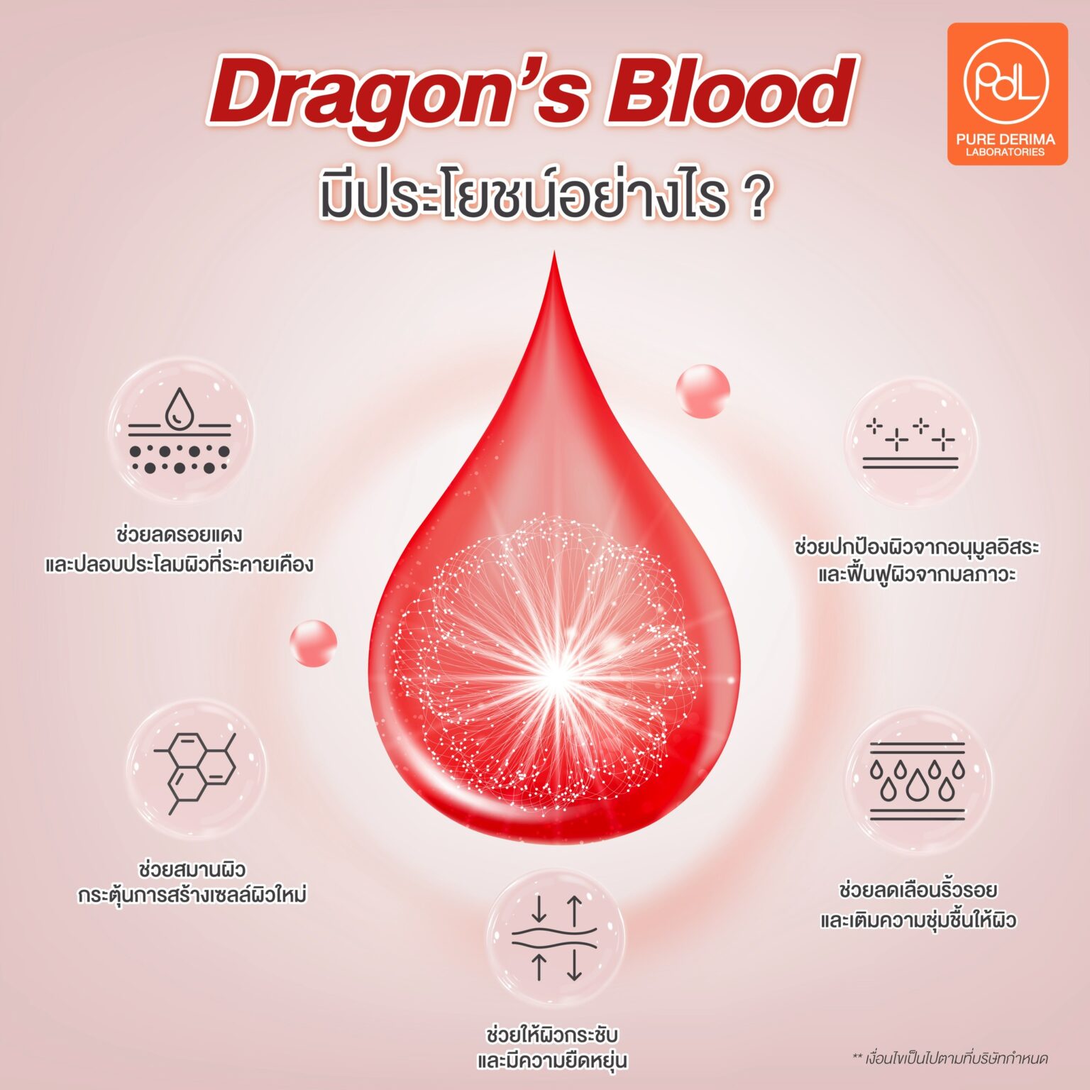 Dragon’s Blood คืออะไร? ดียังไง ทำไมมาแรง และเป็นที่นิยม
